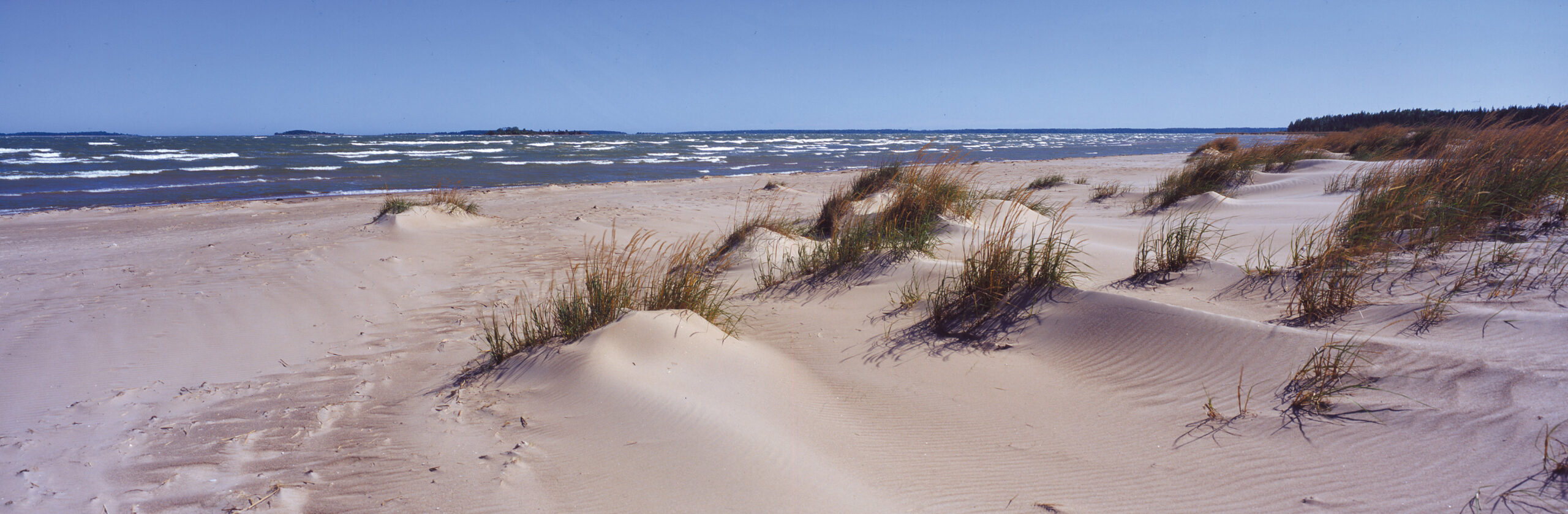 Valokuitu Pori - Valokuitunen